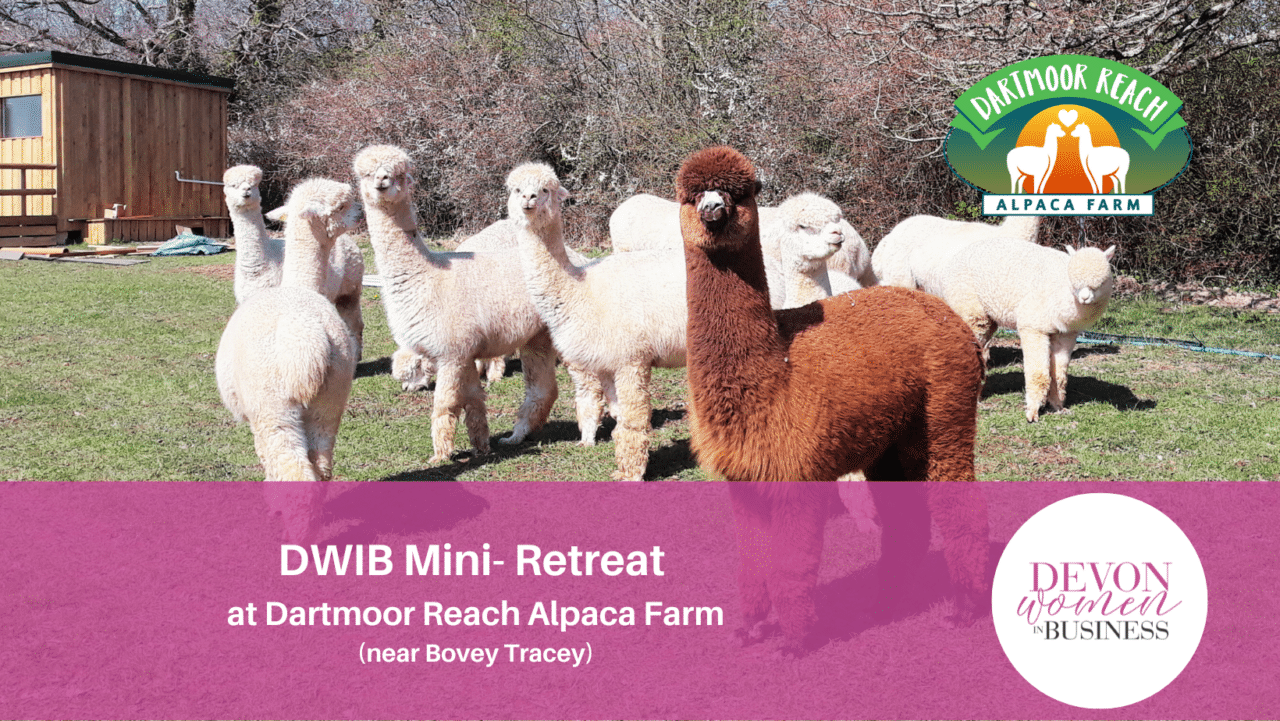 DWIB Mini Retreat - Devon Women In Business