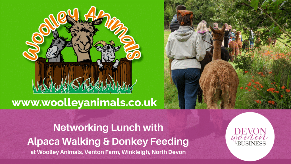 Alpaca Walking, Donkey Feeding And Networking Lunch - Devon Women In ...